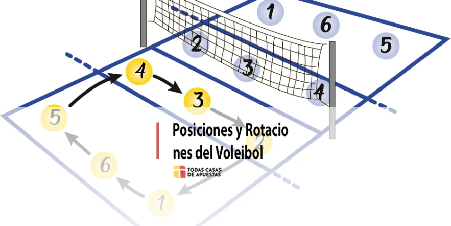 Posiciones de voleibol y sus funciones